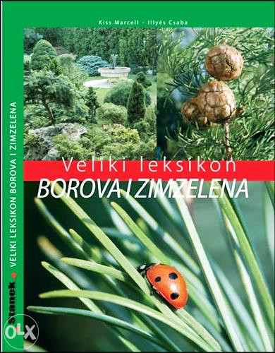 Knjiga: Veliki leksikon borova i zimzelena, pisac: Kiss Marcell, Illyes ...
