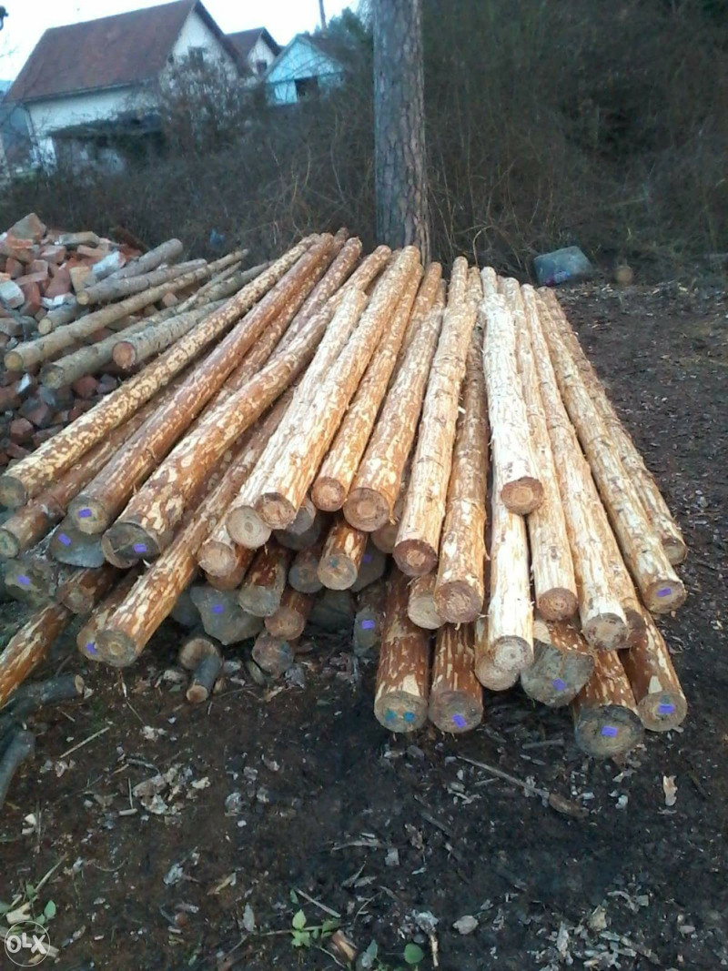 Oblice drvo - Trupci i rezana građa - OLX.ba